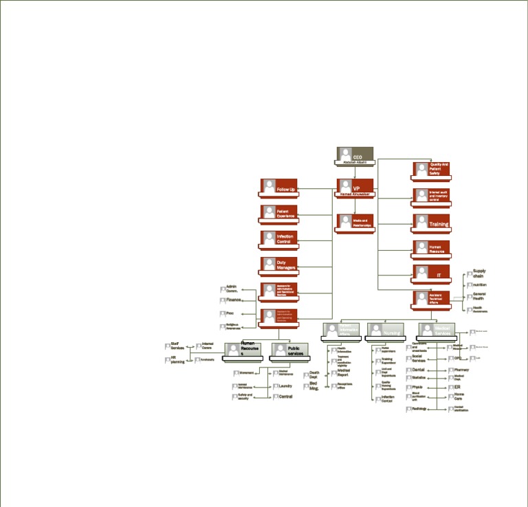 Hospital Organizational Chart | PDF | Nursing | Medicine