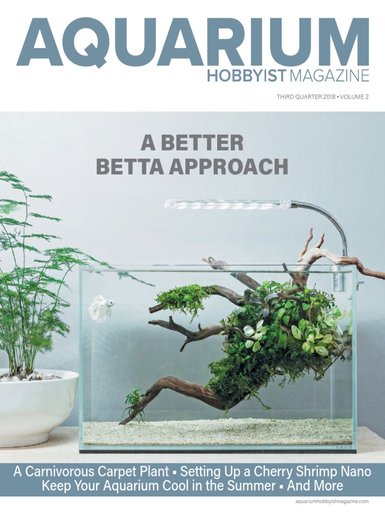 Aquarium PDF | PDF | Aquarium | Fishkeeping