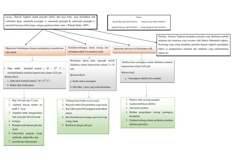Ka - Kel1 Akhwat - Woc Demam Tifoid | PDF | Kesehatan Holistik