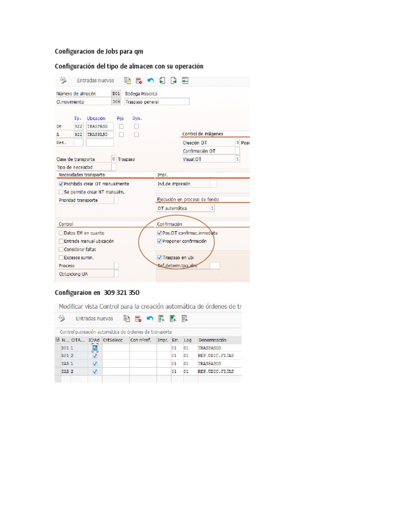 Configuracion de Jobs para QM WM | PDF | Tecnología
