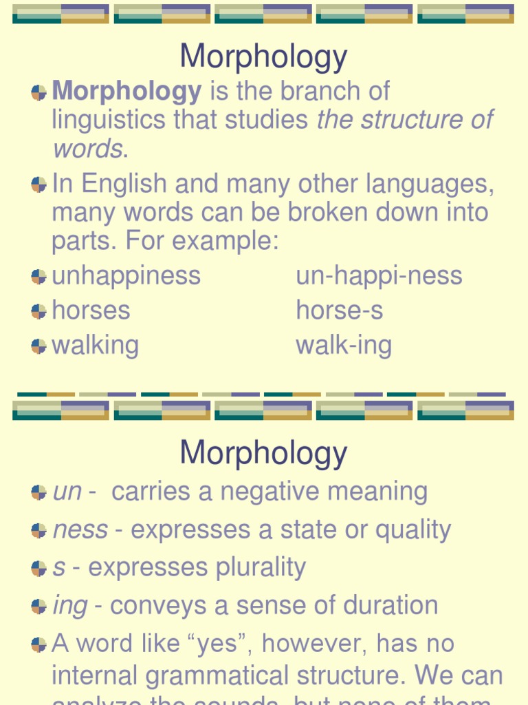 Morphology Basics | PDF | Morphology (Linguistics) | Word