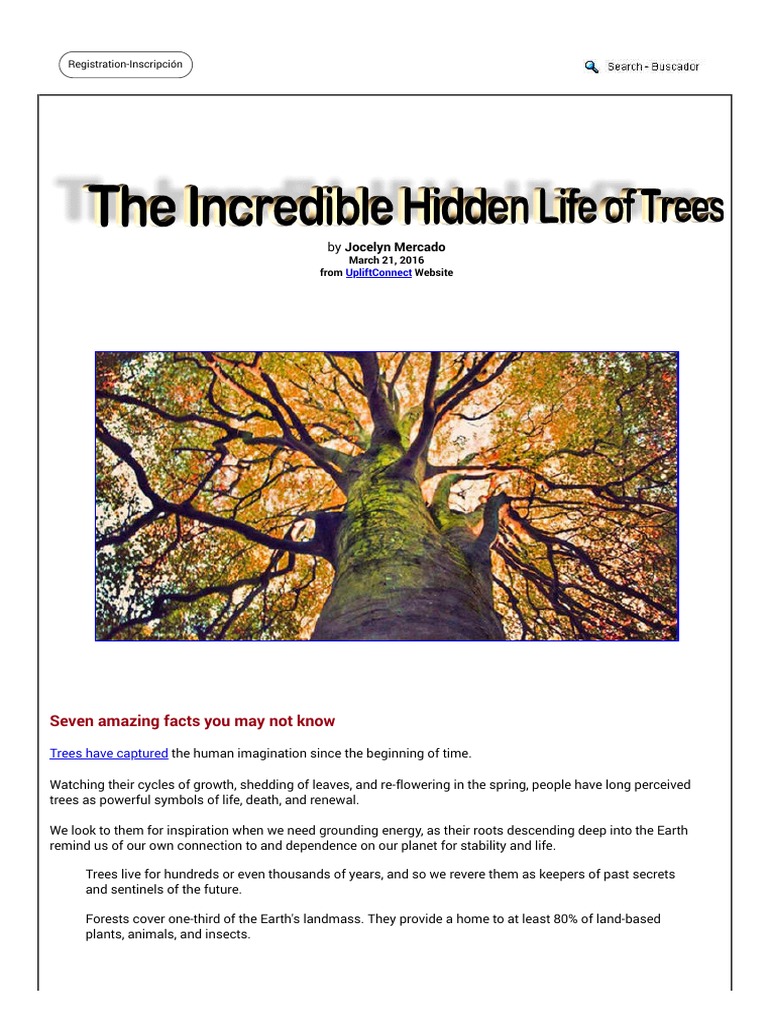 Seven Facts About Trees' Hidden Life | PDF | Rainforest | Trees