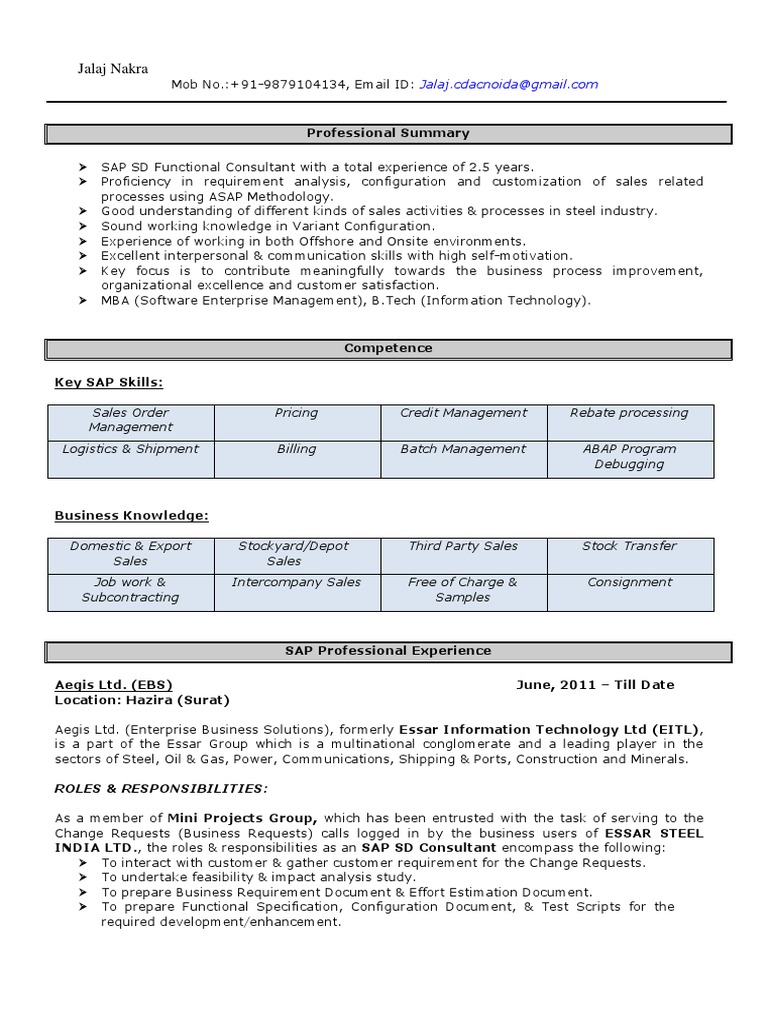 Jalaj Sap SD | PDF | Business Process | Sales