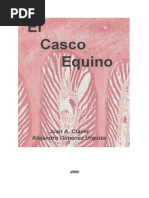 Anatomía y Fisiología de La Pata Del Caballo | PDF | Mano | Sistema ...