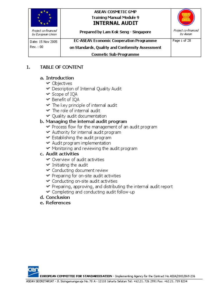Trainer Manual Internal Quality Audit | PDF | Internal Audit | Auditor ...