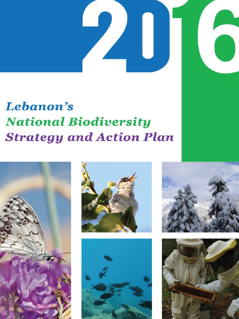 LBN - National Biodiversity Strategy and Action Plan PDF | PDF ...