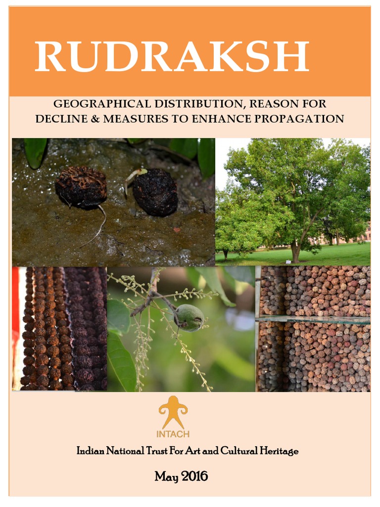 Rudraksh: Geographical Distribution, Reason For Decline & Measures To ...