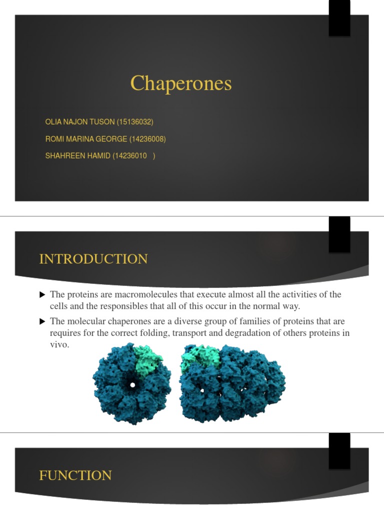 Molecular Chaperones | PDF | Chaperone (Protein) | Protein Folding