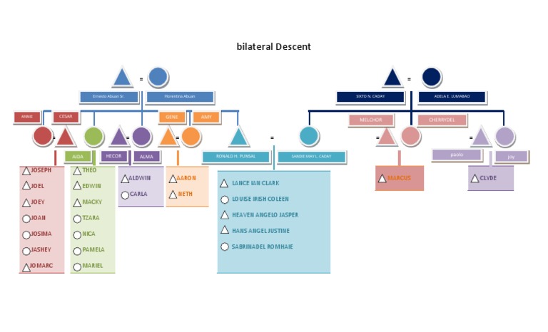 Bilateral Descent genealogy chart | PDF