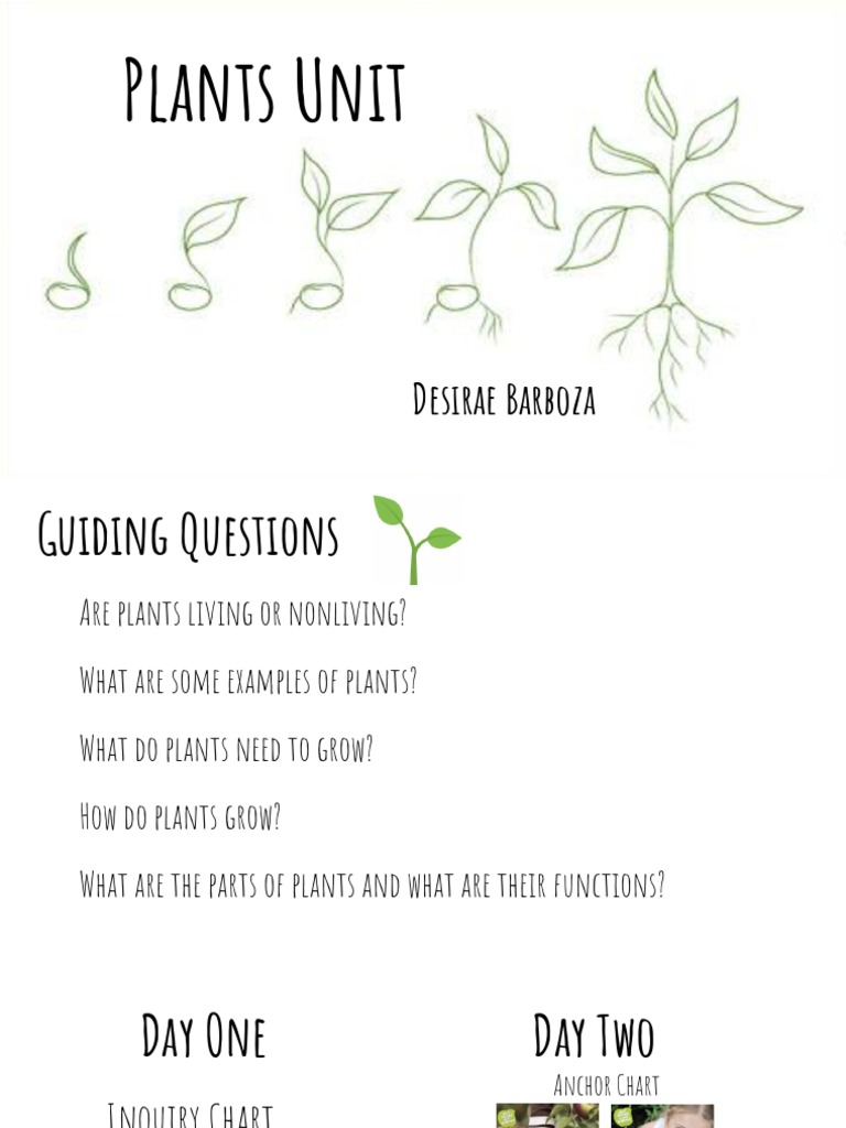 Plants Unit Presentation 1 | PDF