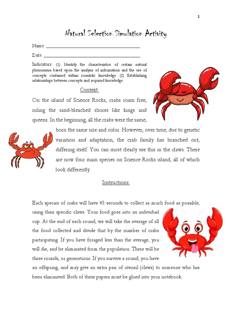 Natural Selection Simulation Activity | PDF | Natural Selection | Species