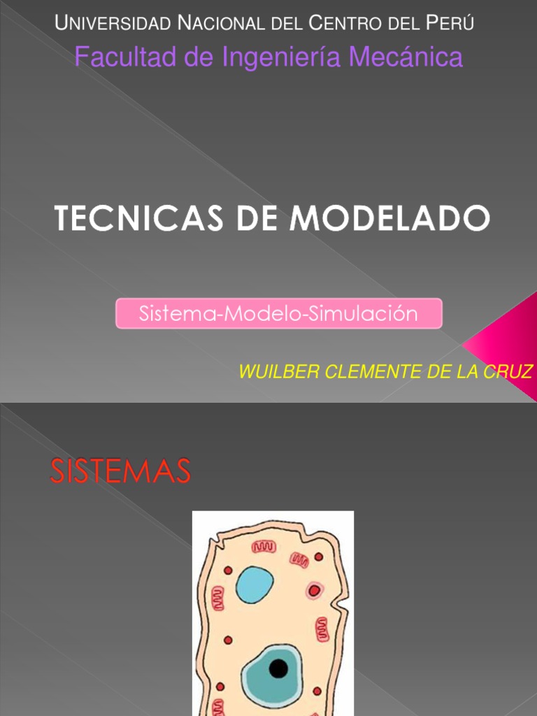 Tecnica de Modelado | PDF | Realidad | Simulación