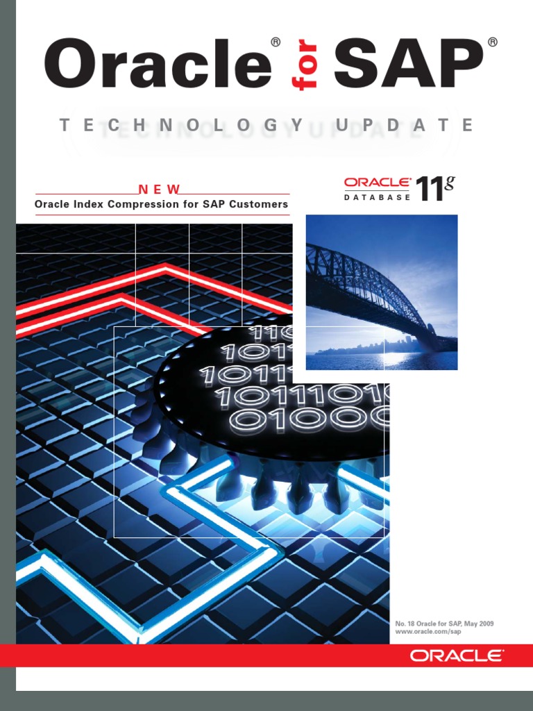 G For SAP | PDF | Oracle Database | Scalability