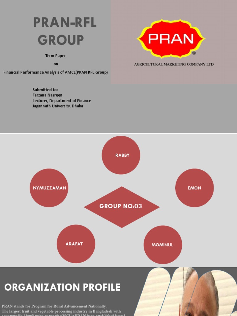 Term Paper On Financial Performance Analysis of AMCL (PRAN RFL Group ...