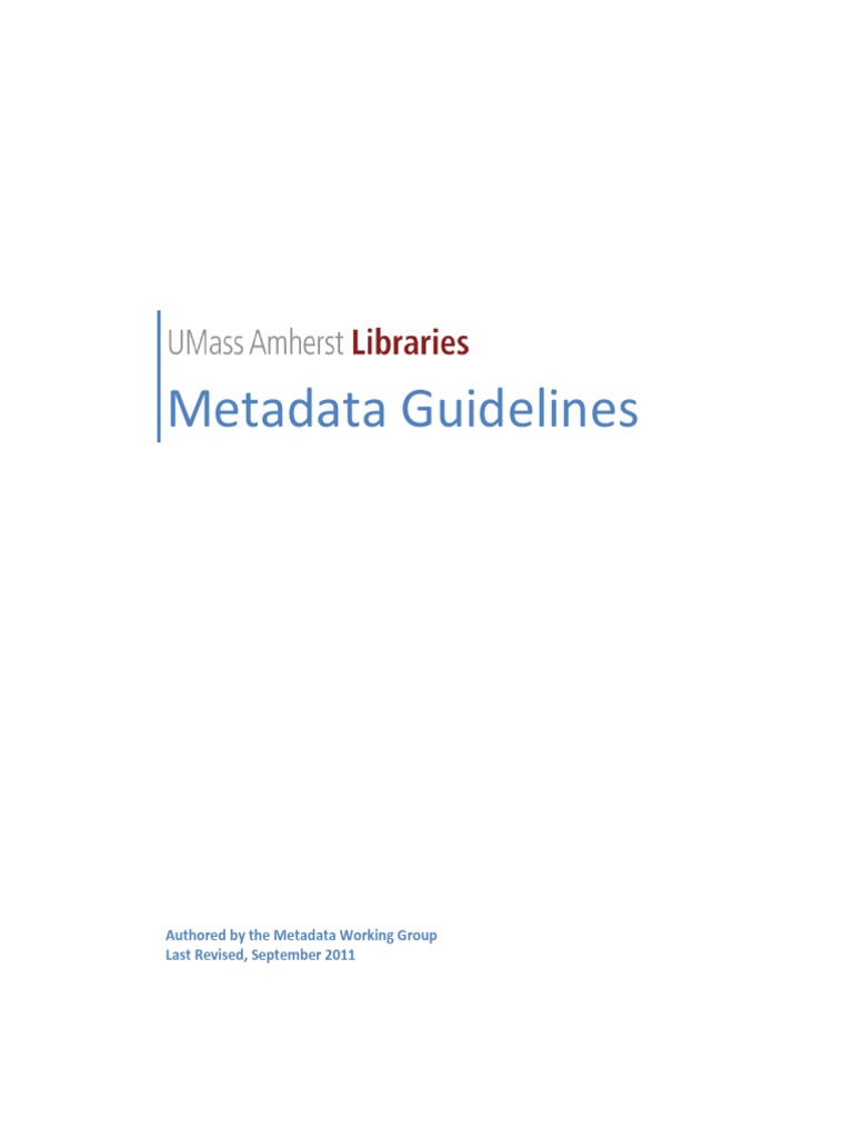 Metadata Guidelines: Authored by The Metadata Working Group Last ...
