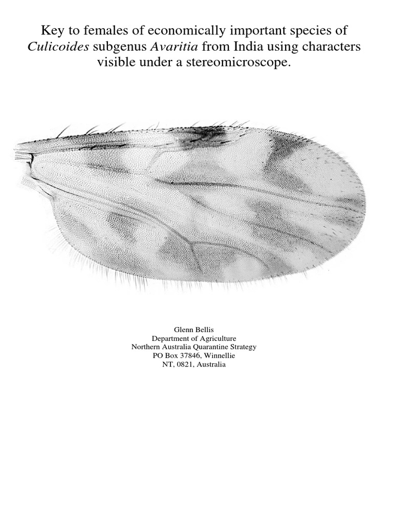 Key to Culicoides Avaritia Females in India | PDF | Anatomical Terms Of ...
