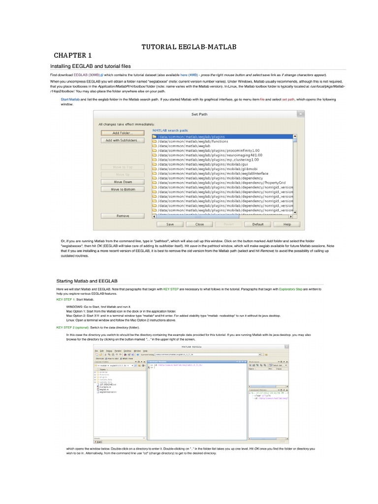 Tutorial Eeglab-Matlab | PDF