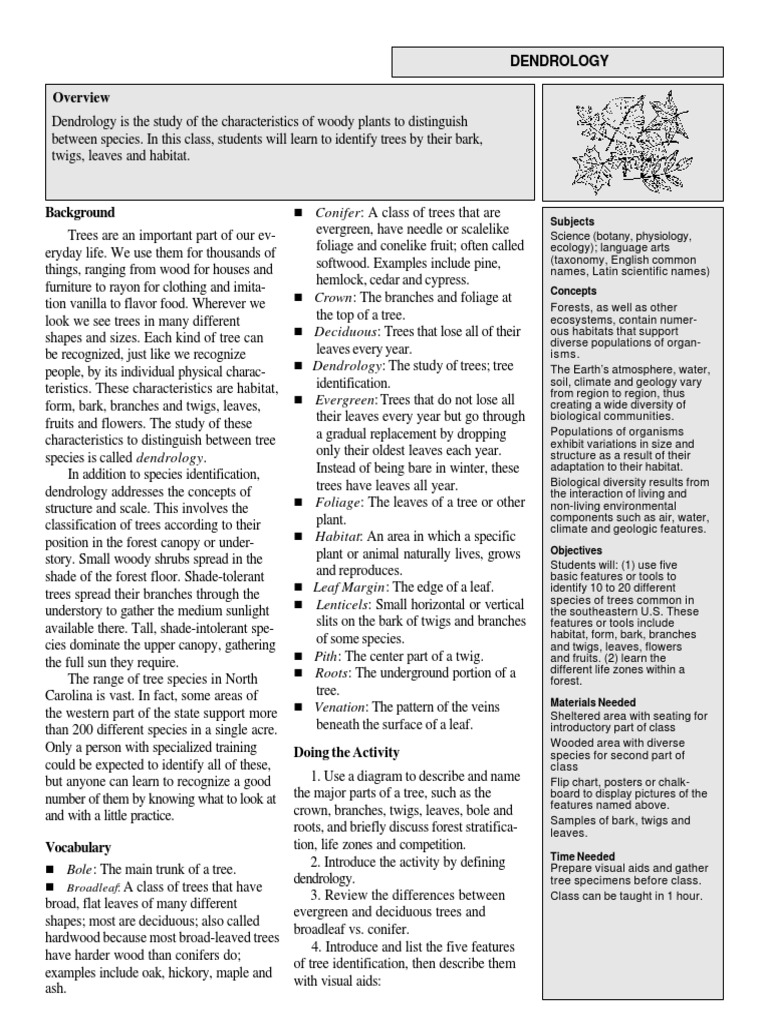 Dendrology PDF | PDF | Trees | Leaf