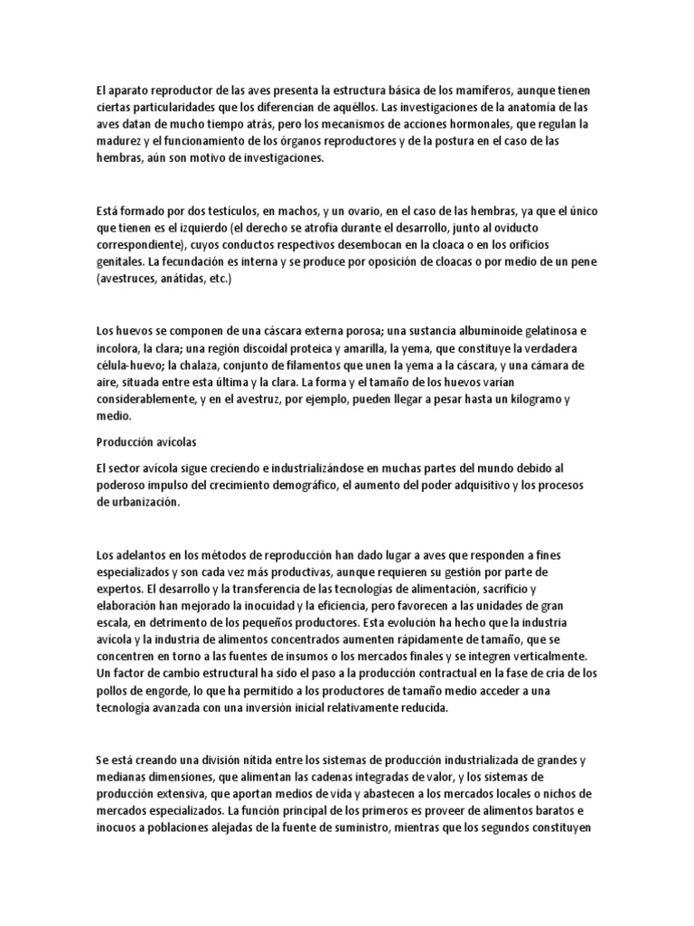 El Aparato Reproductor de Las Aves | PDF | Aves | Pollo
