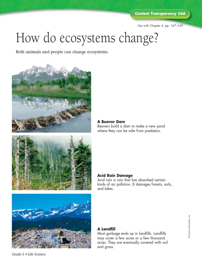 How Do Ecosystems Change? | PDF | Home & Garden | Science & Mathematics
