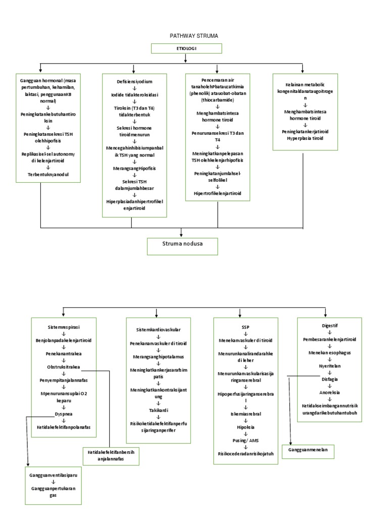 Pathway Struma | PDF