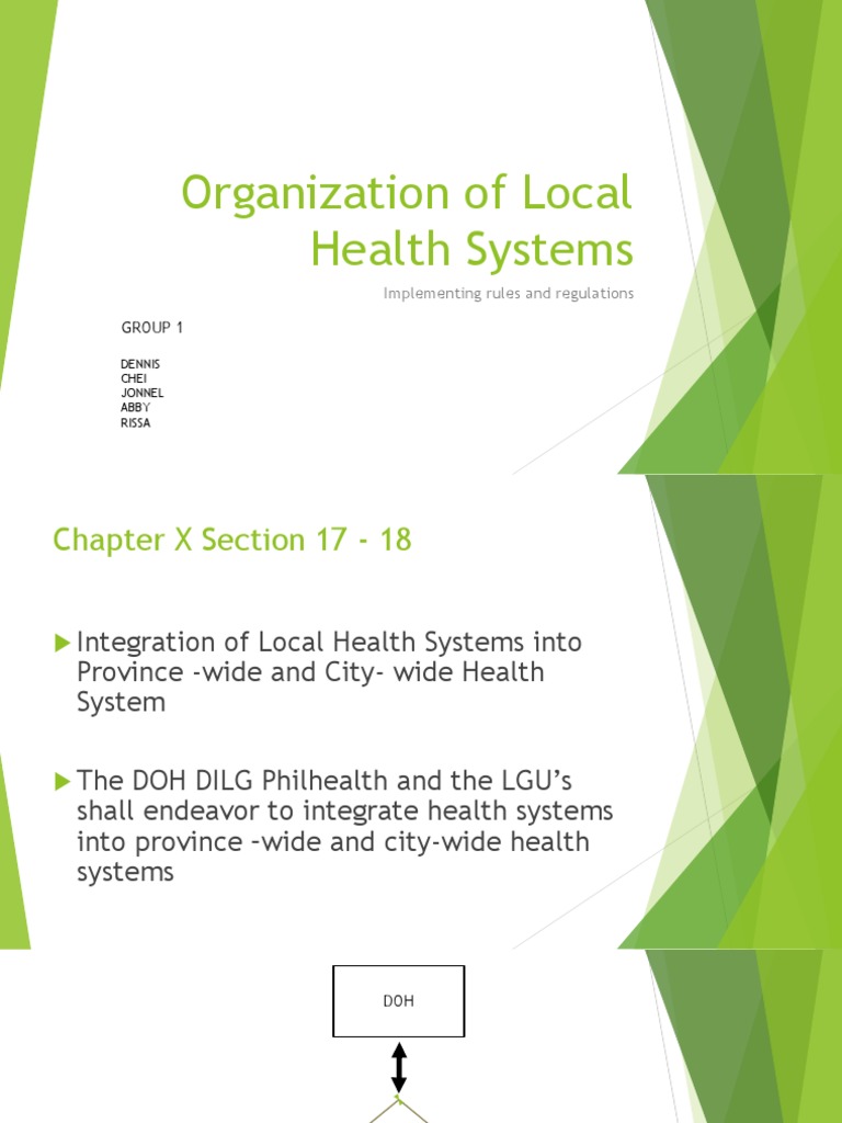 Organization of Local Health Systems | PDF