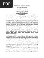 Anatomía y enfermedades del pene canino | PDF | Pene | Urología