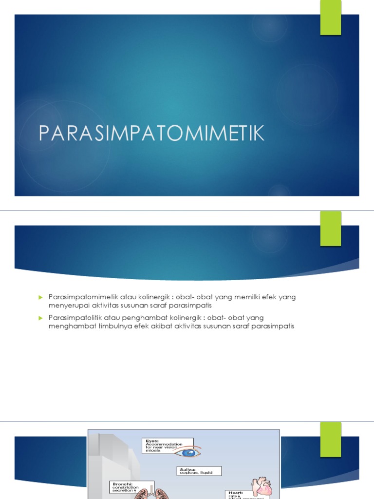 PARASIMPATOMIMETIK | PDF