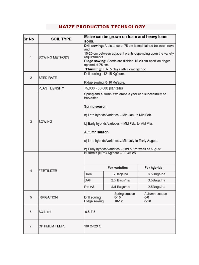 Maize Production Technology | PDF | Sowing | Maize