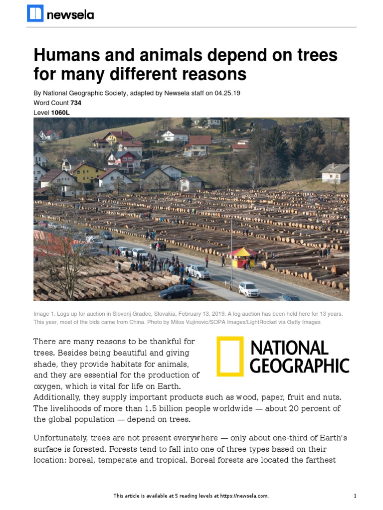 Natgeo Timber Resources 50458 Article Only | PDF | Forests | Trees