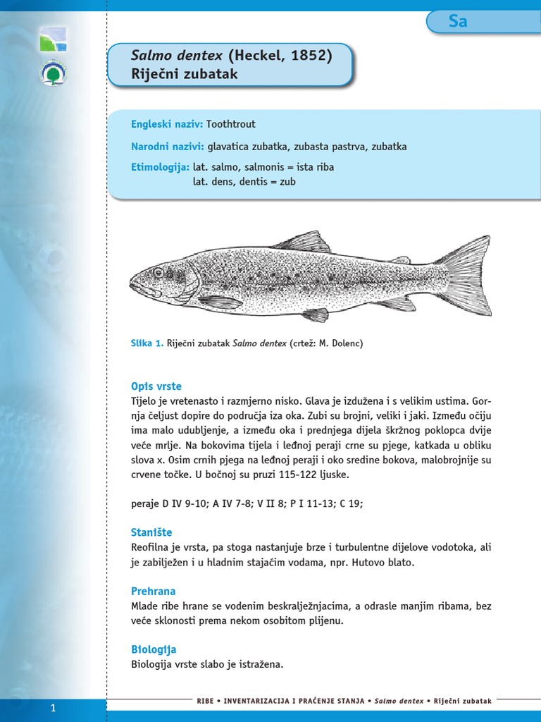 Slatkovodne Ribe | PDF