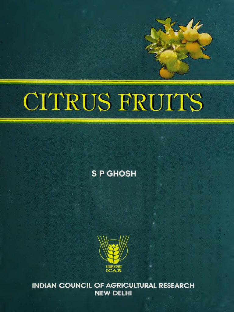 Citrus Fruits PDF | PDF | Citrus | Orange (Fruit)