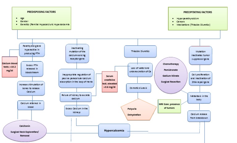 Concept Map Hypercalcemia Final | PDF | Endocrine System | Medical ...