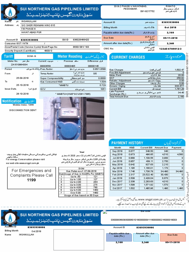 SNGPL - Web Bill | PDF | Business