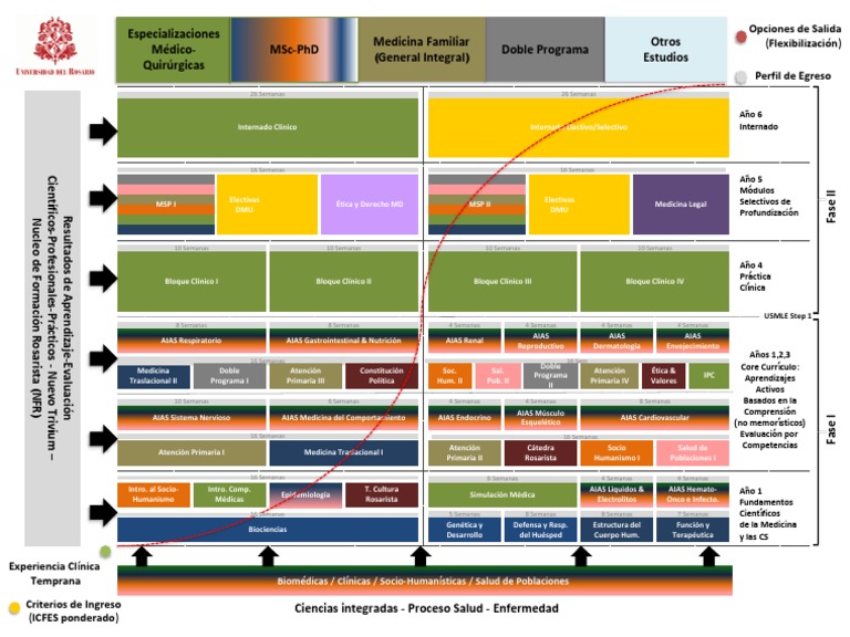 Mapa Curricular Medicina | Descargar gratis PDF | Medicina | Ciencias ...