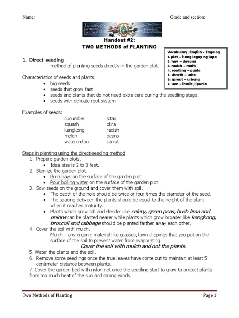 Two Methods of Planting Seeds | PDF | Seedling | Seed