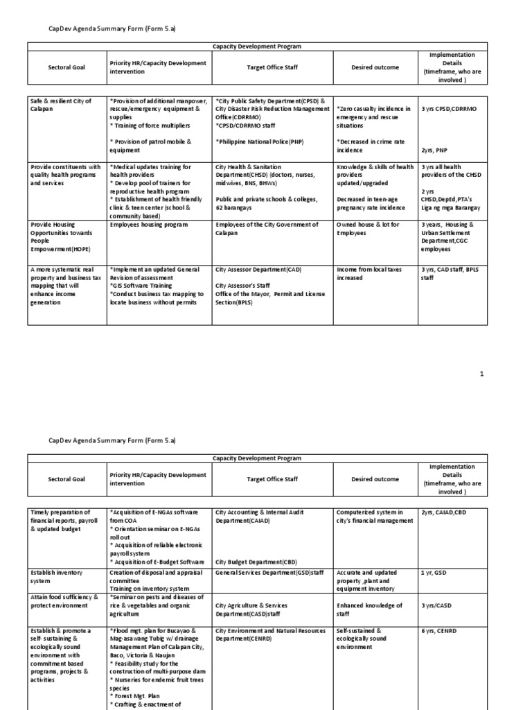 Capdev Agenda Summary Form (Form 5.A) | PDF | Capacity Building ...