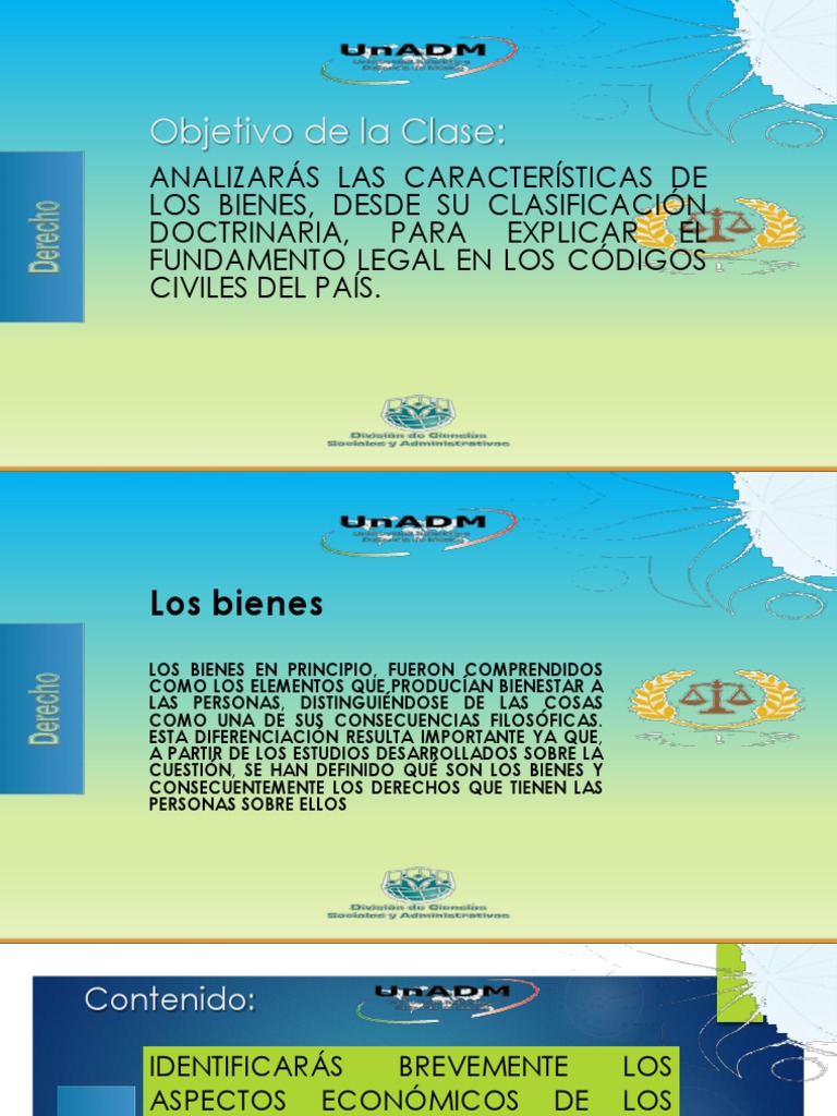 Clasificación de Los Bienes | PDF | Bienes (Ley) | Bienes