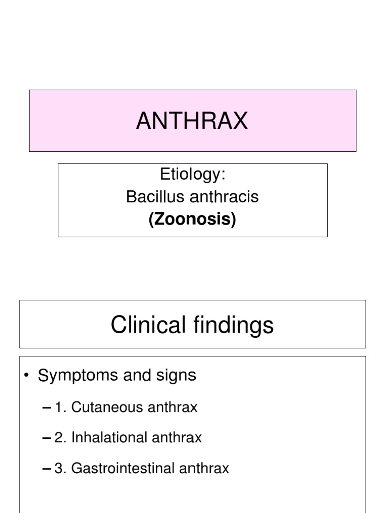 Anthrax: Symptoms, Types, and Treatment | PDF | Anthrax | Diseases And ...