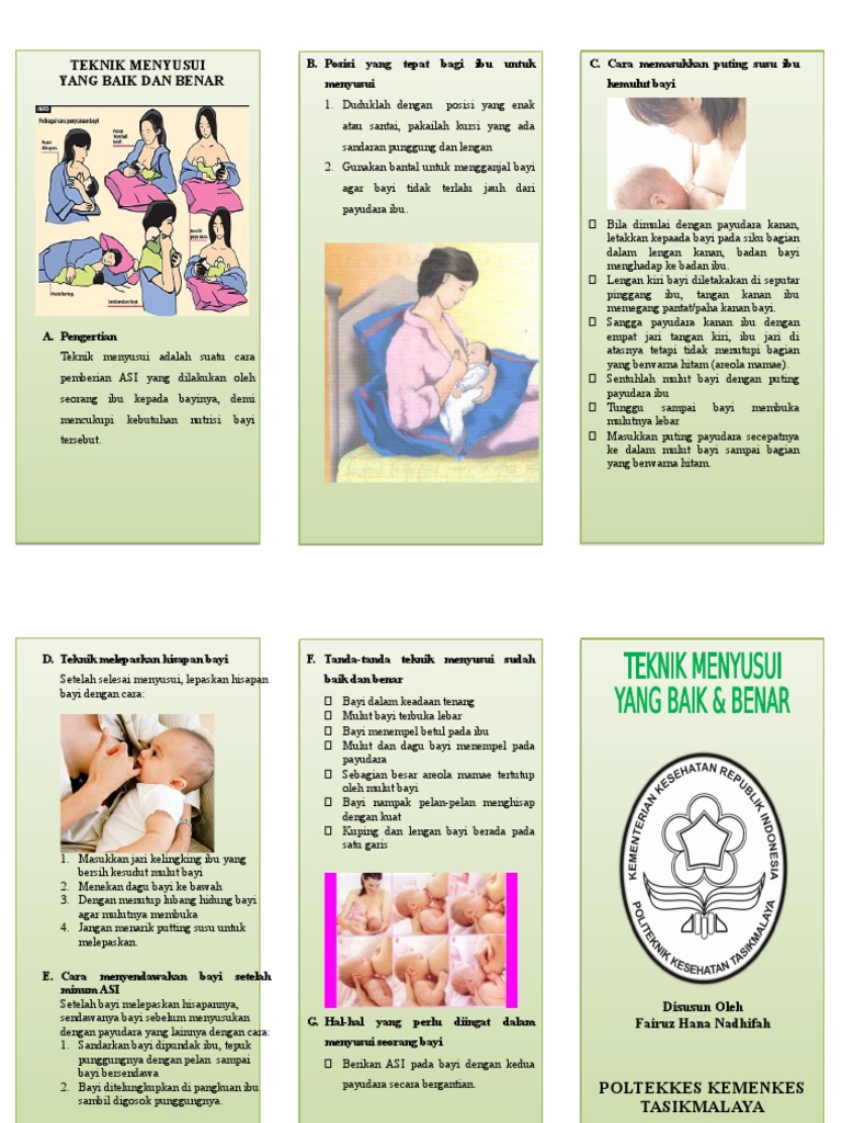 Leaflet Cara Menyusui | PDF