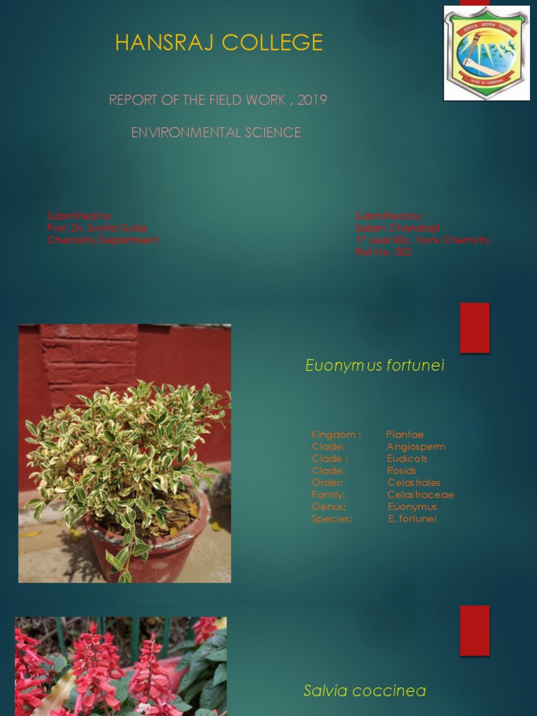 Field Work | PDF | Horticulture And Gardening | Plants