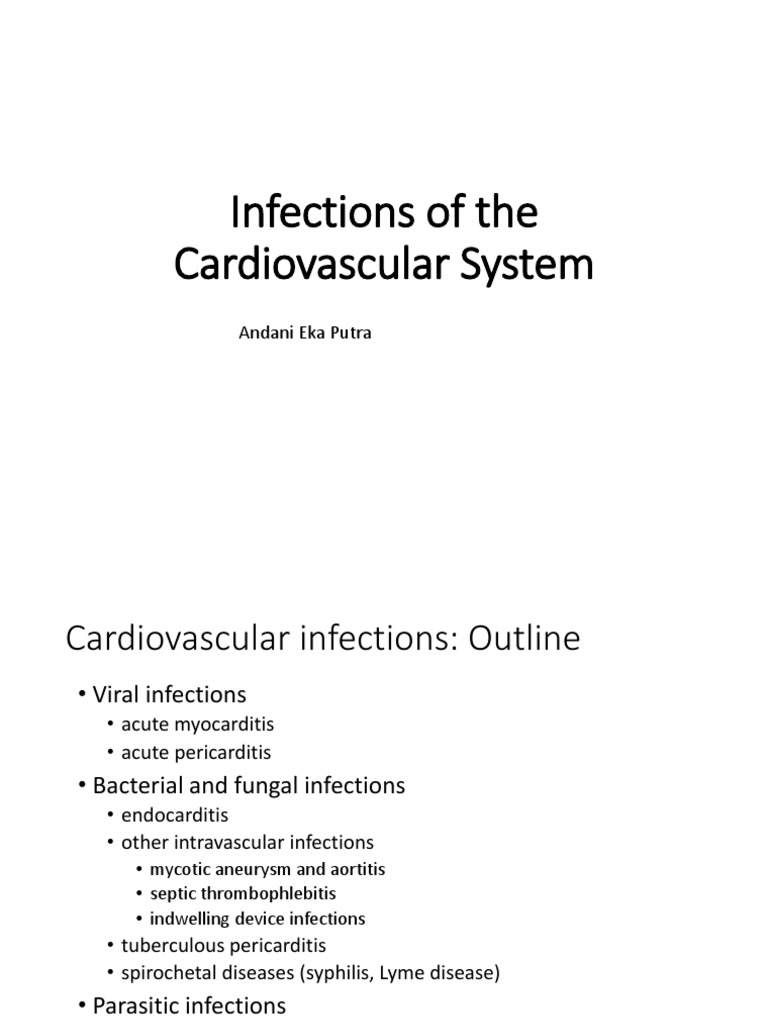 Cardiovascular Infection Overview | PDF | Streptococcus | Medicine