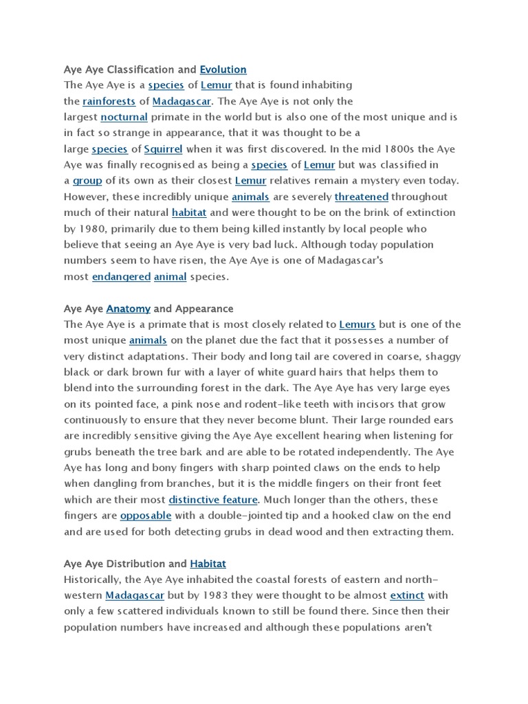 Aye Aye Description | PDF | Organisms | Nature