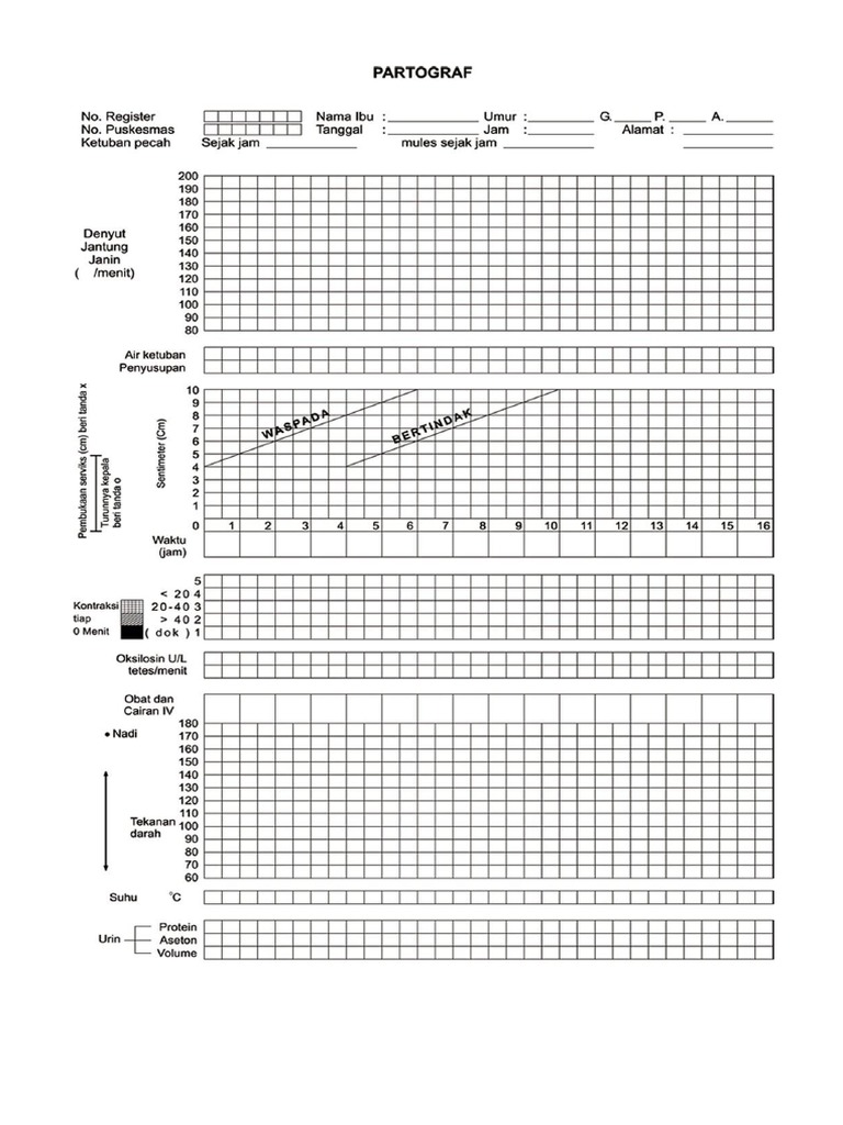 Partograf Kosong | PDF