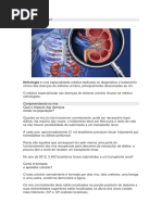 Hipostenuria, Hiperstenuria e Isostenuria | PDF | Bem-estar | Religião ...