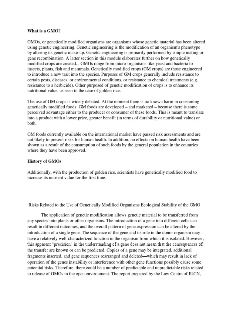 Sts Gmo Report | PDF | Genetically Modified Organism | Genetic Engineering