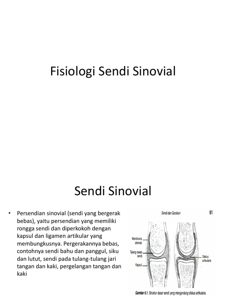 Anatomi Sendi Sinovial | PDF