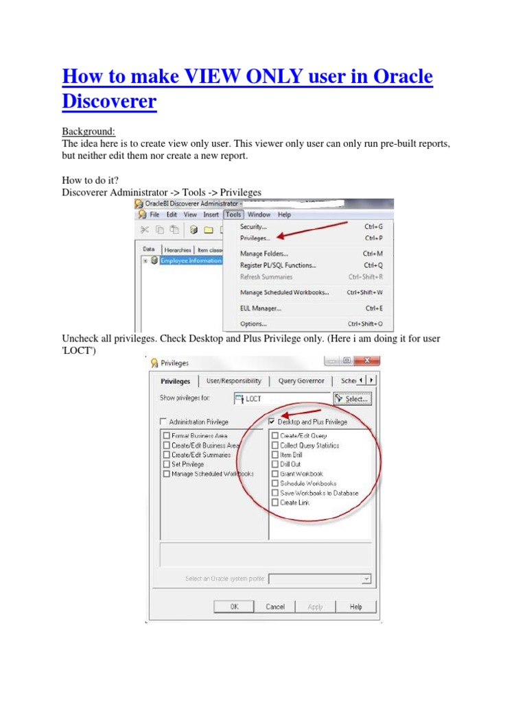 Oracle Discoverer VIEW ONLY User | PDF