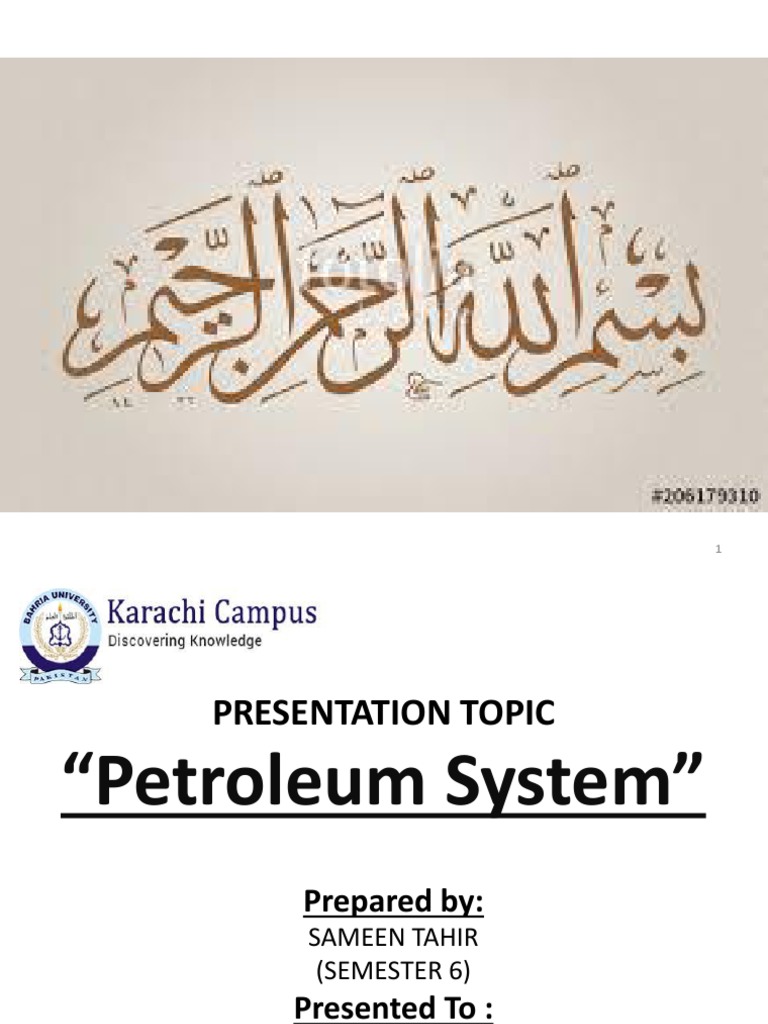 Petroleum System | PDF | Petroleum Geology | Petroleum