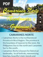 Region XI - Festivals | PDF | Festival | Cebu